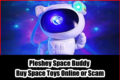 Pleshey Space Buddy: Is It Legit Or Just Another Scam?